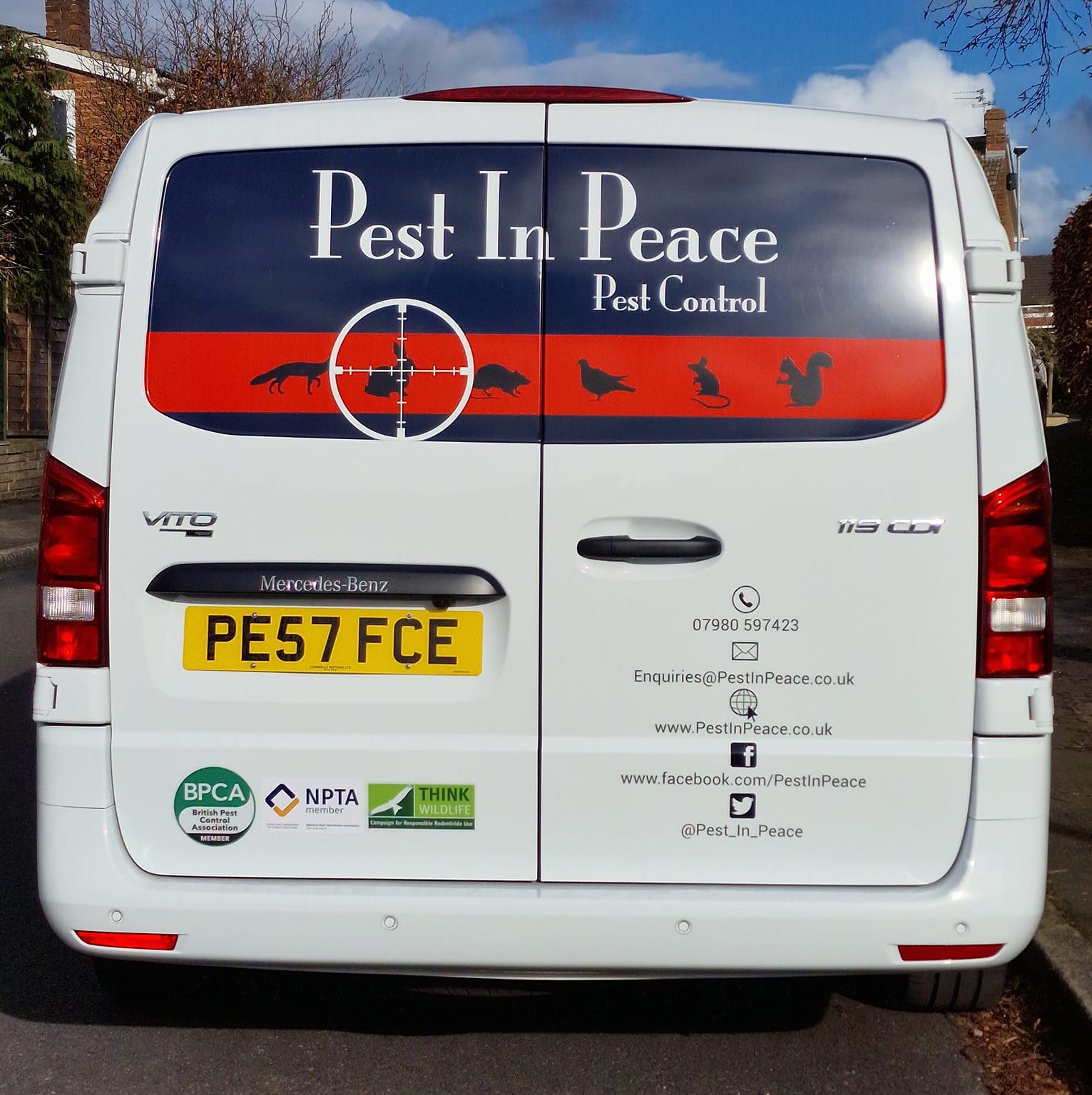 Ant Control Cheshire & Wimslow - Pest in Peace